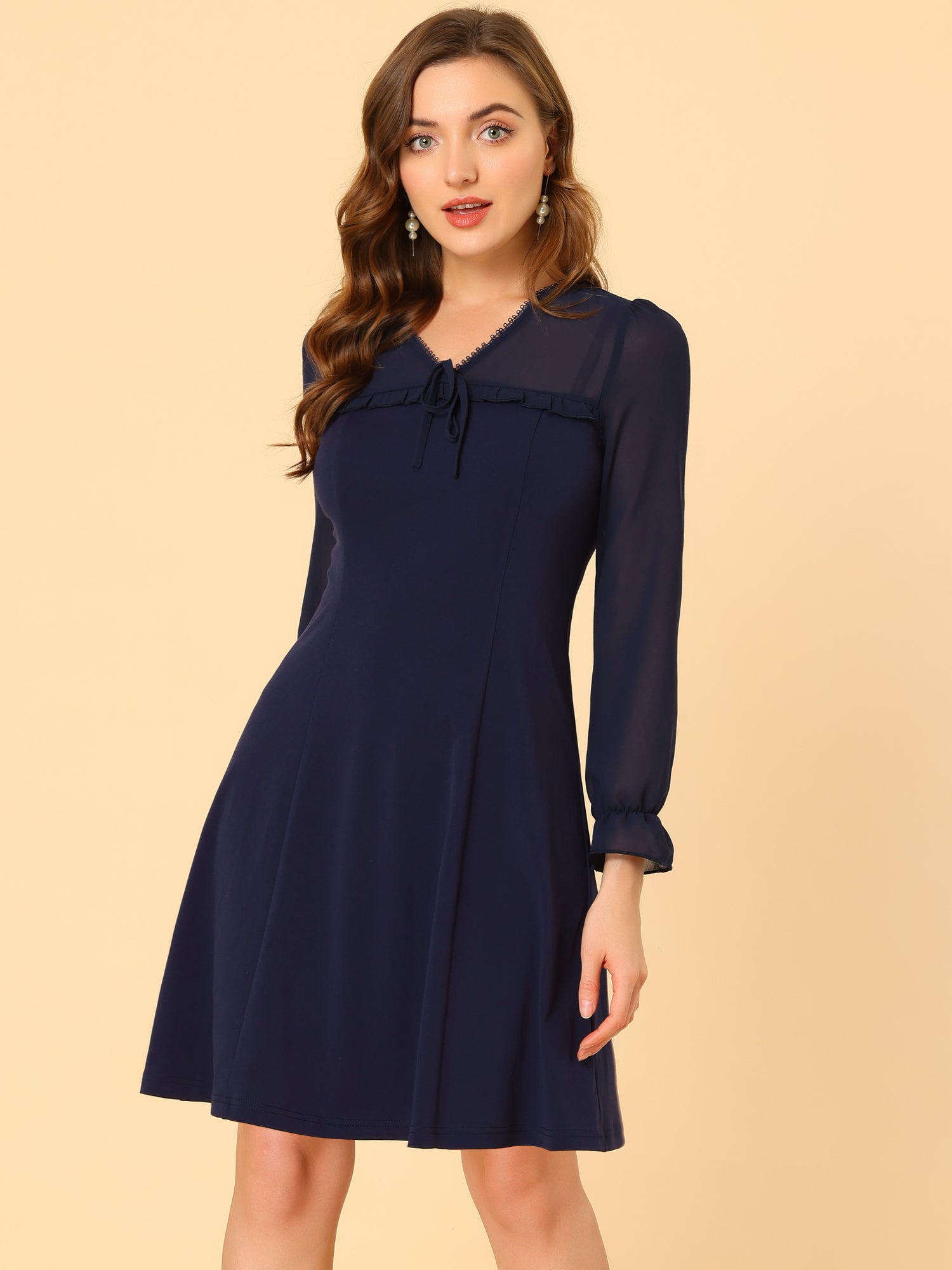Ruffle V Neck Mesh Sheer Panel Long Sleeve Chiffon Mini Dress | Allegra K